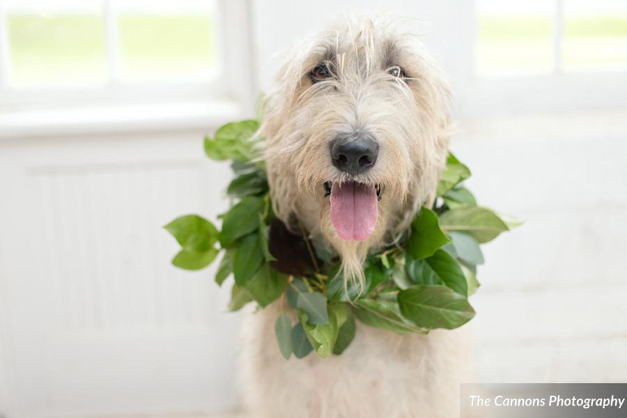 Wedding Styled Shoot | Ohio | Piggery at Anna Dean Farms